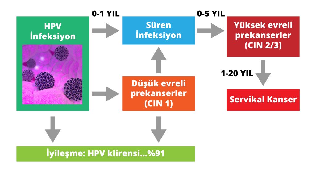 HPV Nedir? – Prof. Dr. Esin Şenol